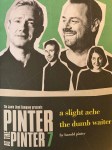 Review – Pinter Seven, Pinter at the Pinter Season, A Slight Ache and ...